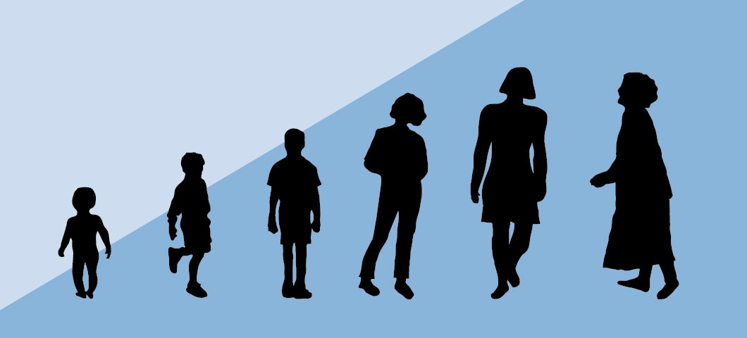 The Brain’s Growth and Development | Kids Discover Online