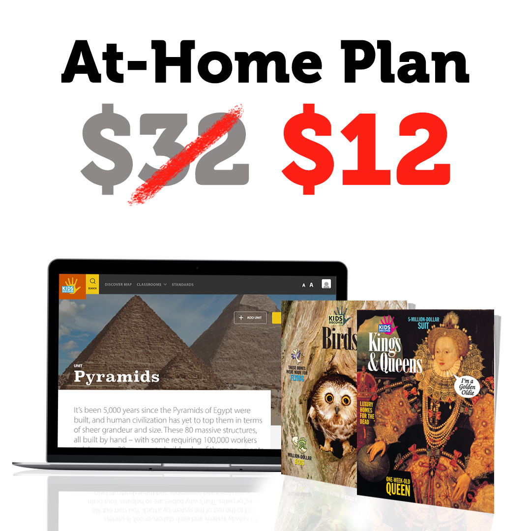 Kids Discover Summer 2023 Promotions | Kids Discover Online