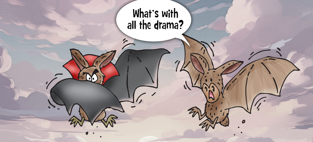 Bats | Kids Discover Online