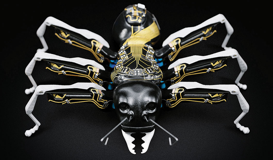 Inspired by Nature | Kids Discover Online