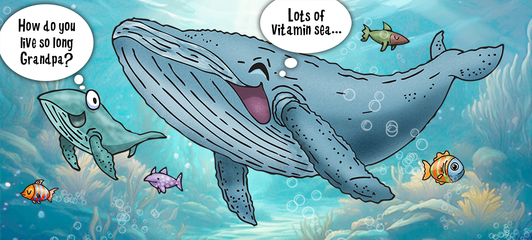 Blue Whales | Kids Discover Online