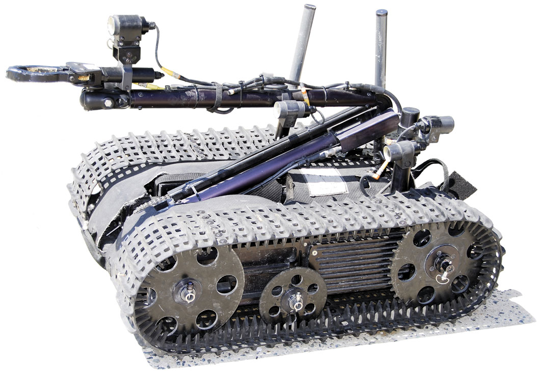 Inspired by Nature | Kids Discover Online