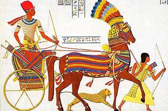 Kingdoms of the Nile | Kids Discover Online