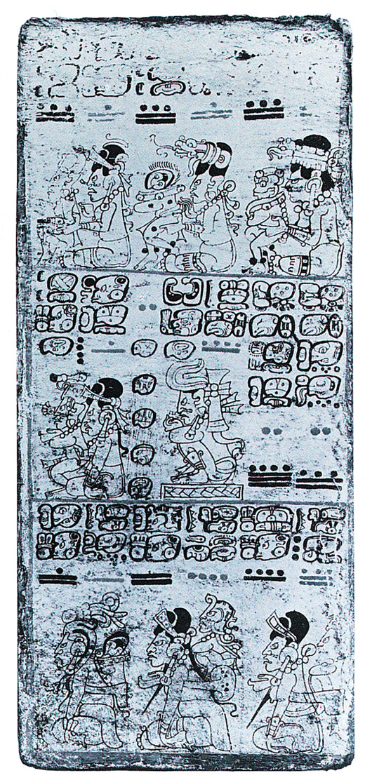 Uncovering the Secrets of the Maya | Kids Discover Online