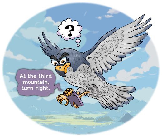 Falcons | Kids Discover Online