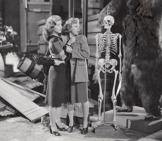 The Human Skeleton | Kids Discover Online