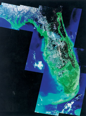 A Warming World | Kids Discover Online