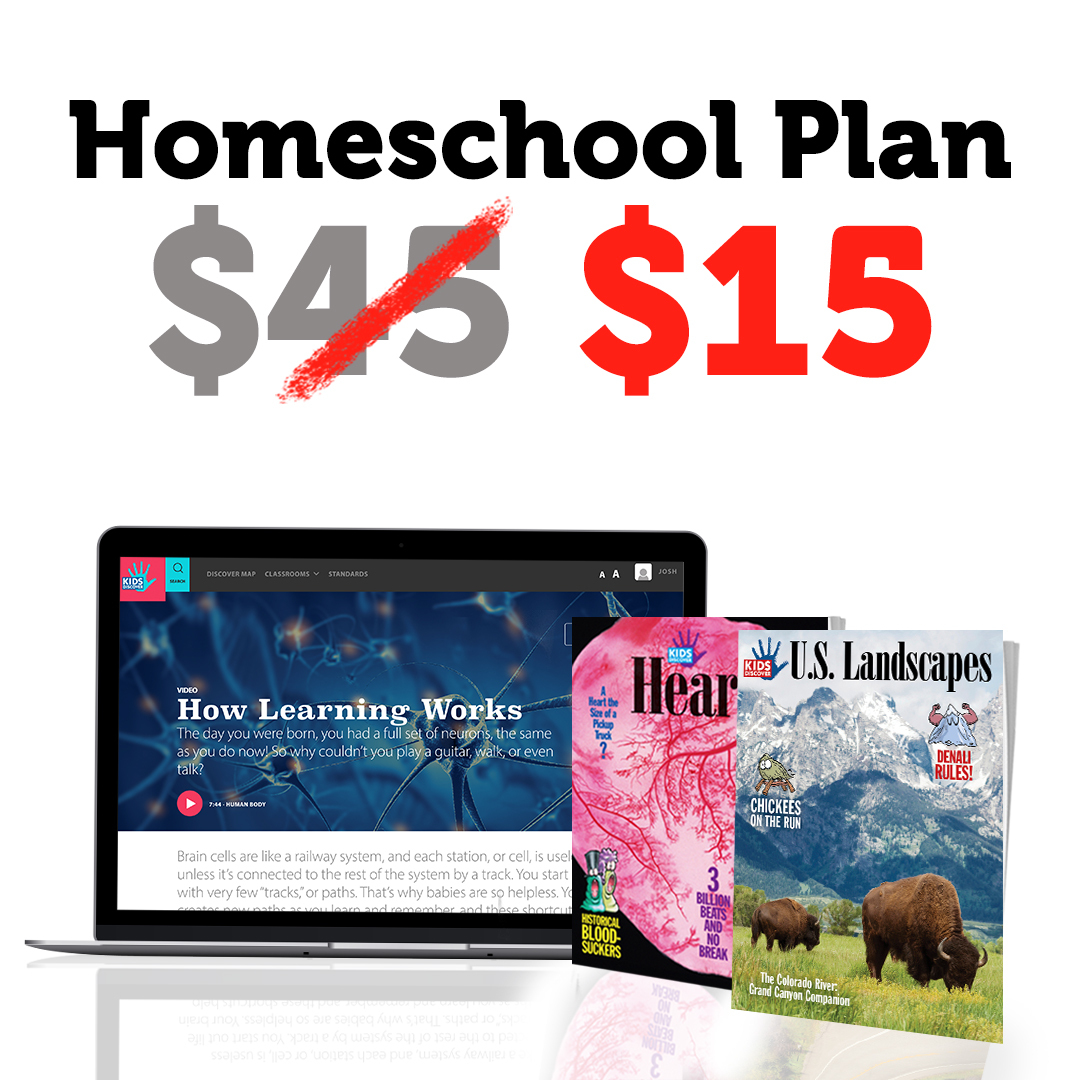 Kids Discover Summer 2023 Promotions | Kids Discover Online