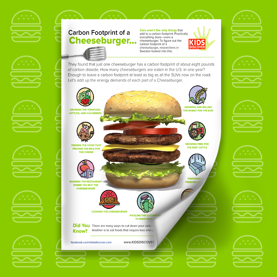 Celebrating Earth Day in Your Classroom | Kids Discover Online