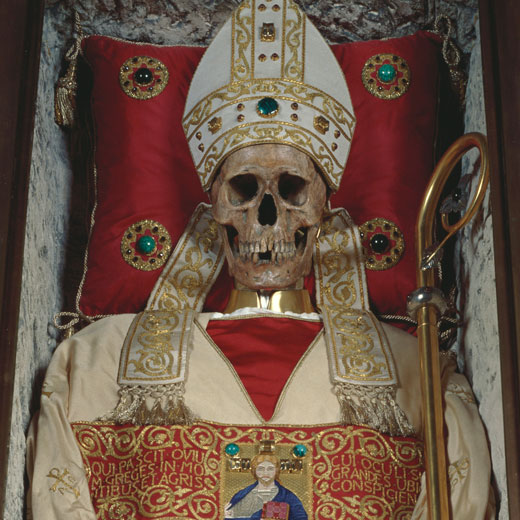 The Human Skeleton | Kids Discover Online