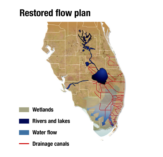 The Everglades | Kids Discover Online