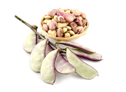 Vitamins and Minerals | Kids Discover Online