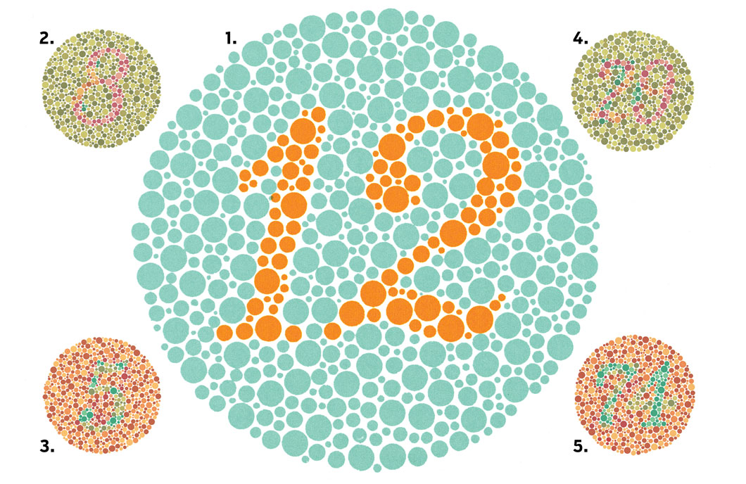 Sight | Kids Discover Online