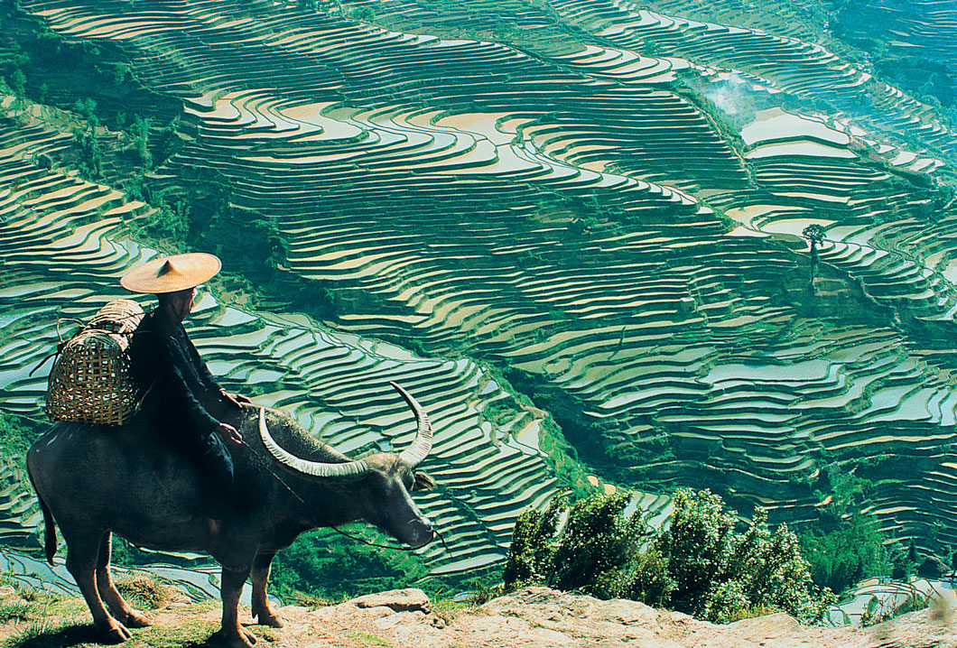 How the Rich and the Poor Lived | Kids Discover Online