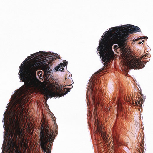 Who Lived in the Stone Age? | Kids Discover Online