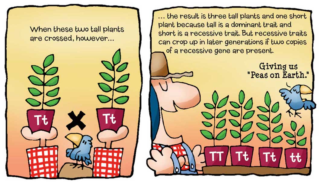 Heredity | Kids Discover Online