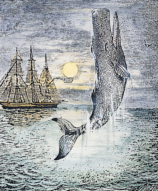 Ocean Myths and Legends | Kids Discover Online