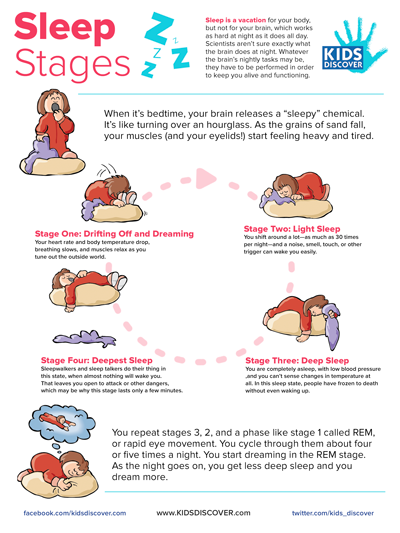 Sleep Stages | Kids Discover Online