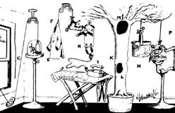 What Is a Simple Machine? | Kids Discover Online