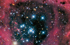 Why Is Our Sun So Important? | Kids Discover Online