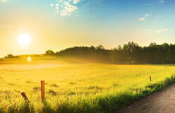 Why Is Our Sun So Important? | Kids Discover Online