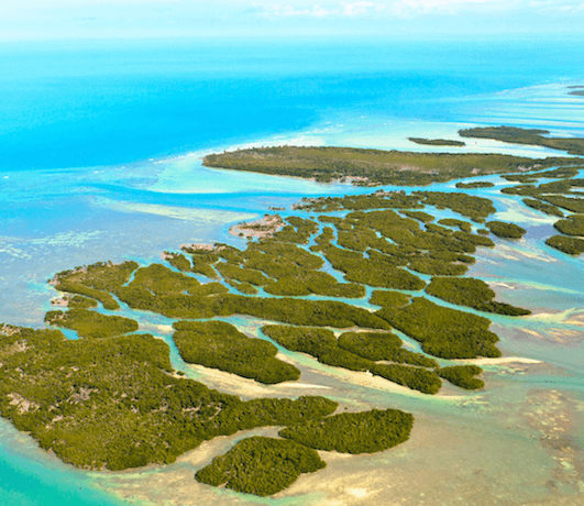 The Southeast | Kids Discover Online